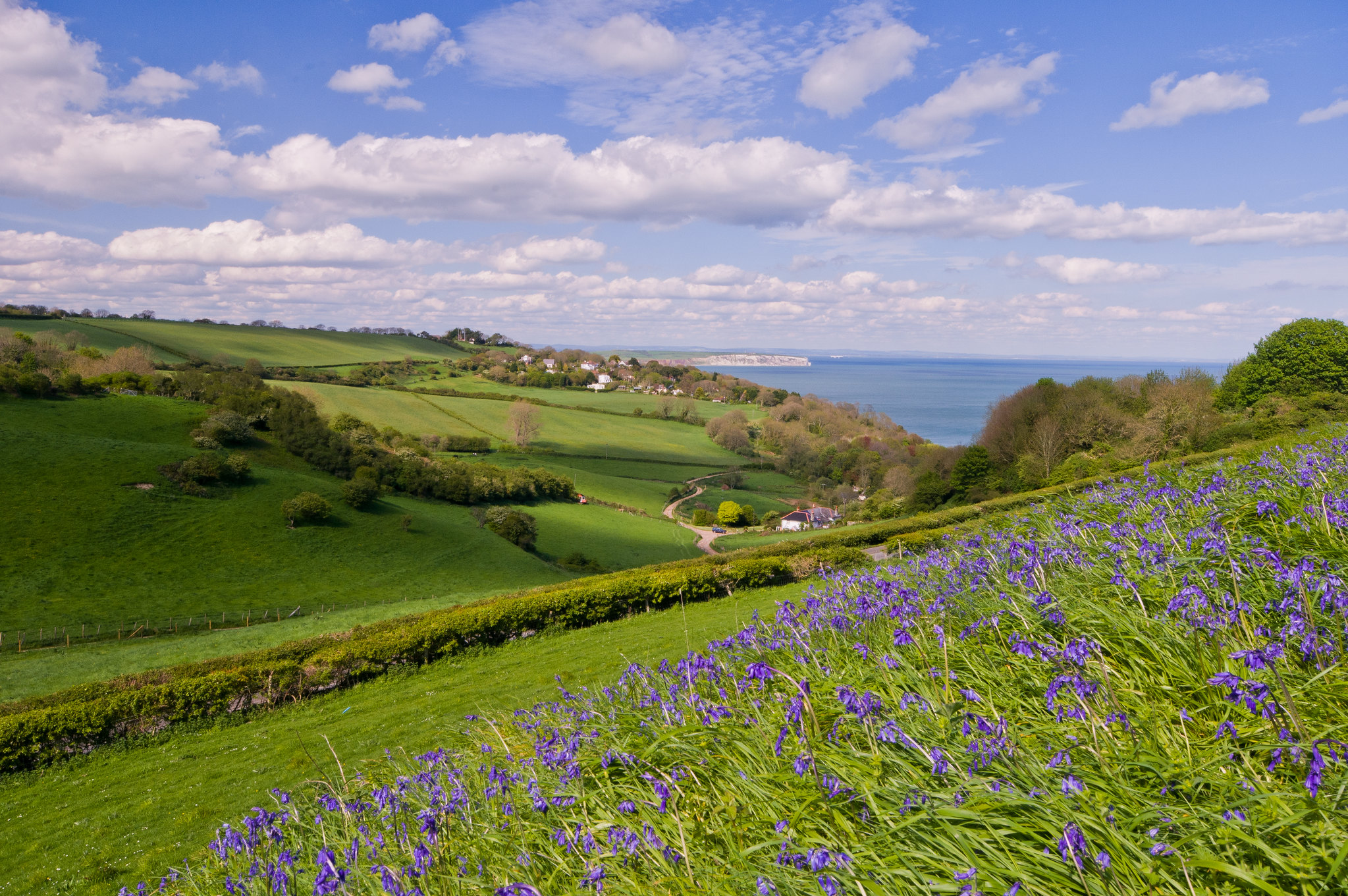 Easter Isle of Wight | Spring Holiday Guide - Island Info